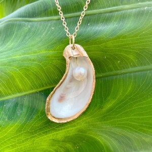 Oyster Shell Chain Necklace With Natural Pearl - Etsy
