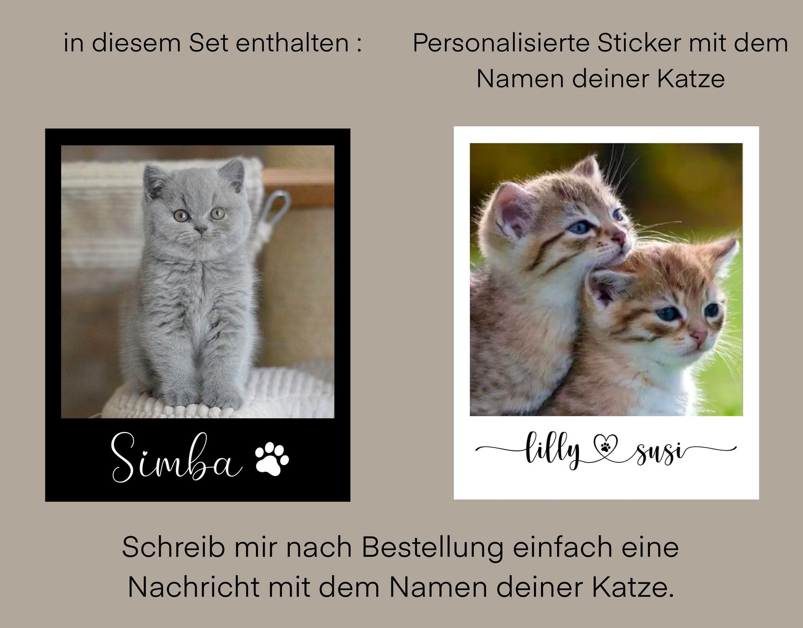 100+ Instagram Story Sticker CAT Cat Catmom Pets Puppy Love Family ...