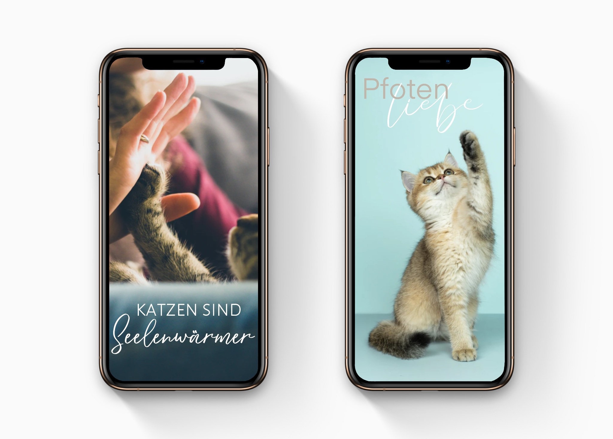 100+ Instagram Story Sticker CAT Cat Catmom Pets Puppy Love Family ...