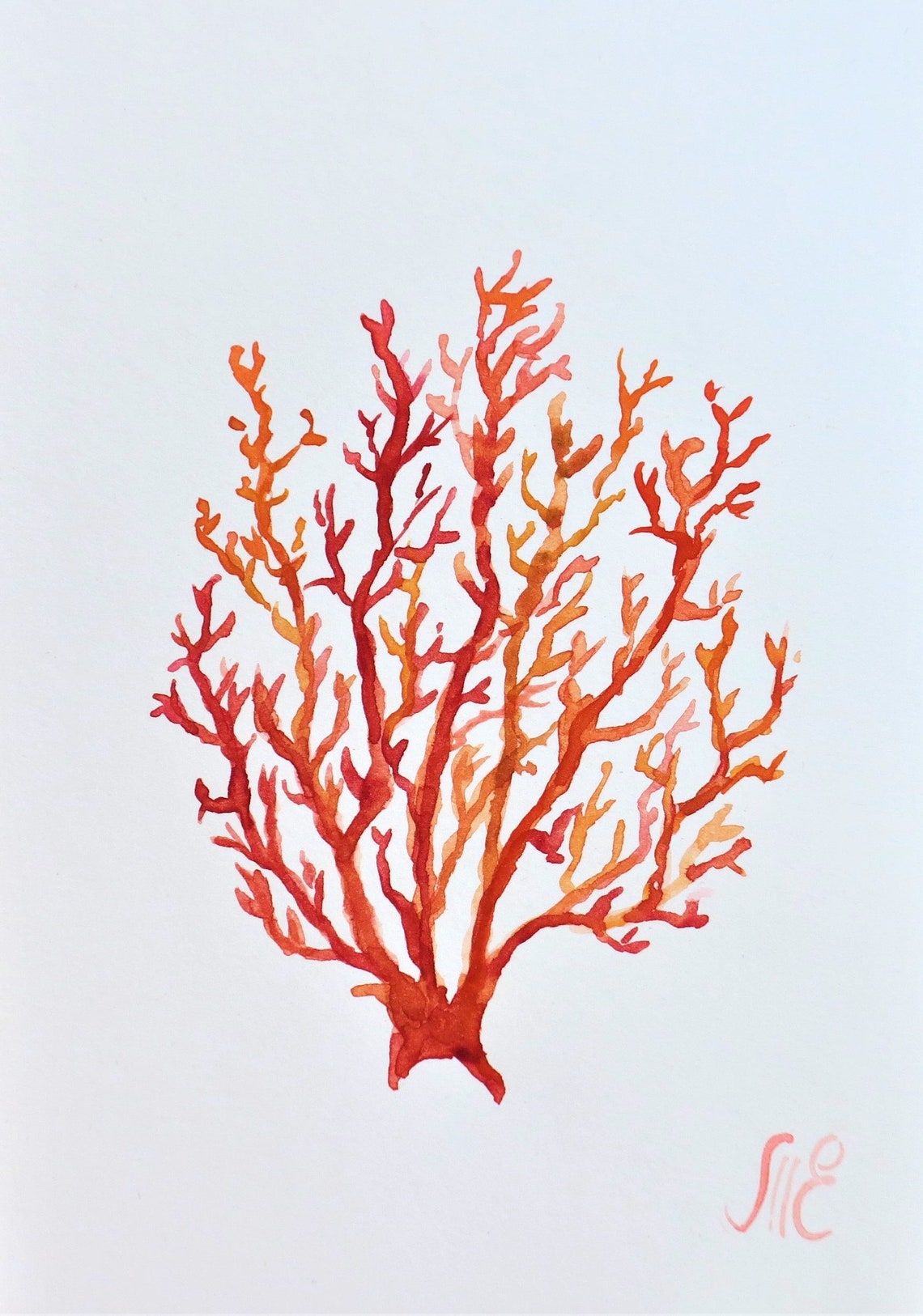Coral Painting Original Art Coral Artwork Coral Watercolor | Etsy
