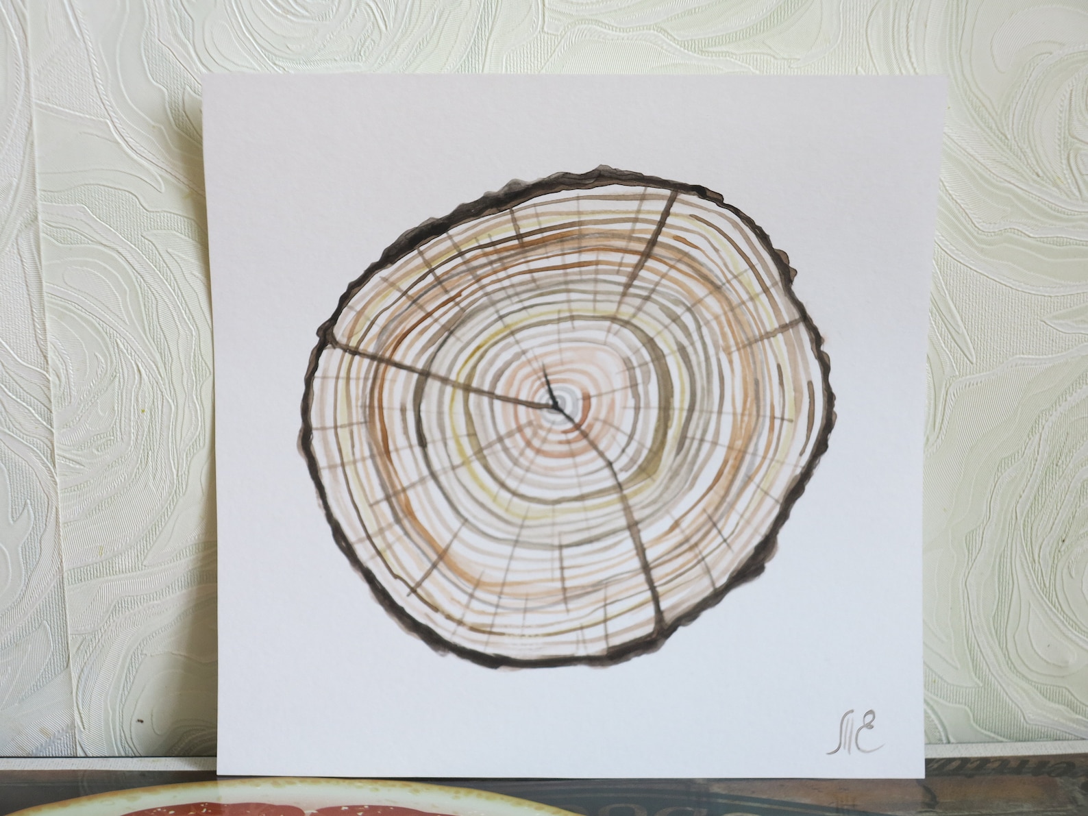 Tree Rings Original Painting Oak Tree Rings Watercolour Boho | Etsy