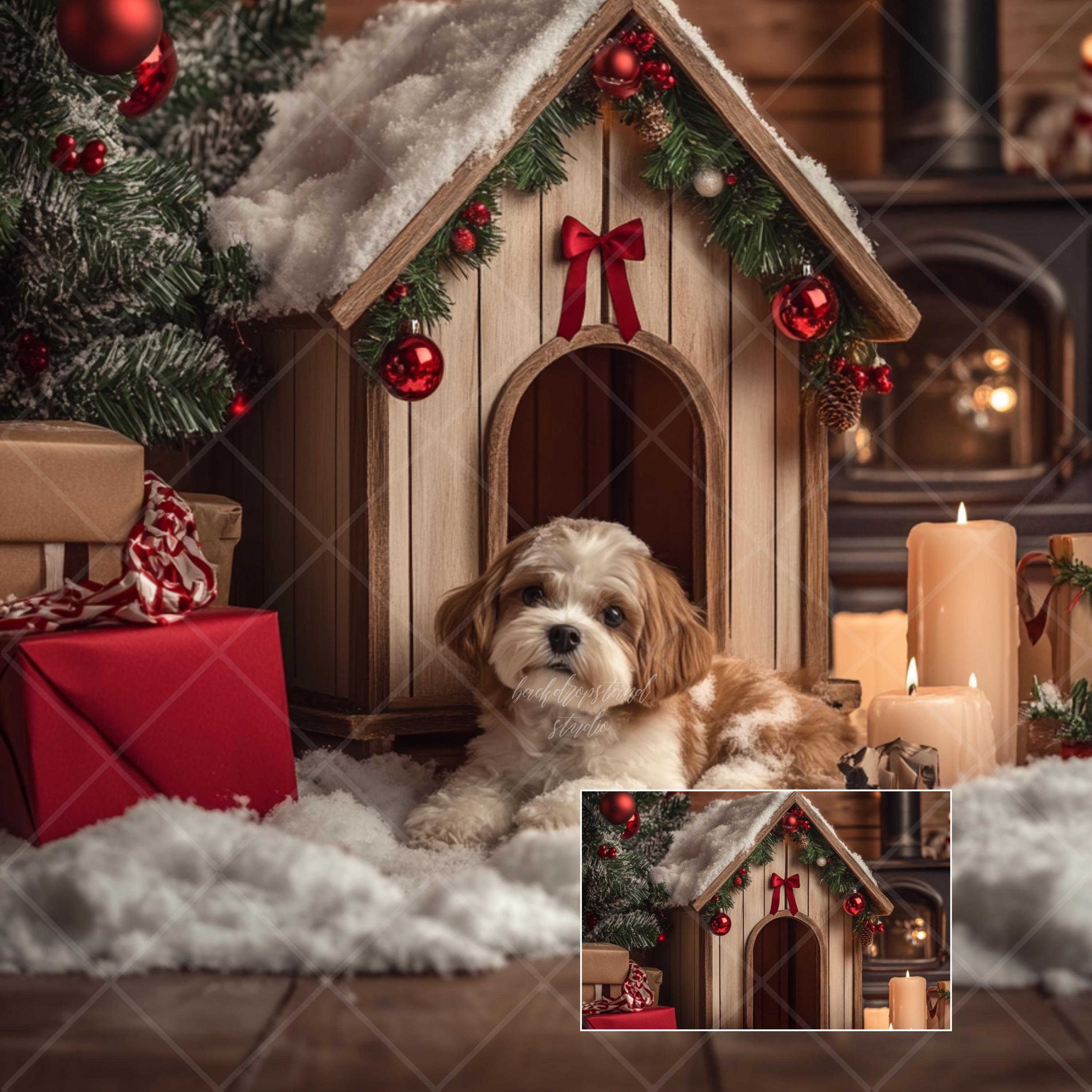 Christmas Dog House Photography Backdrops | Pet Photoshoot (digital ...