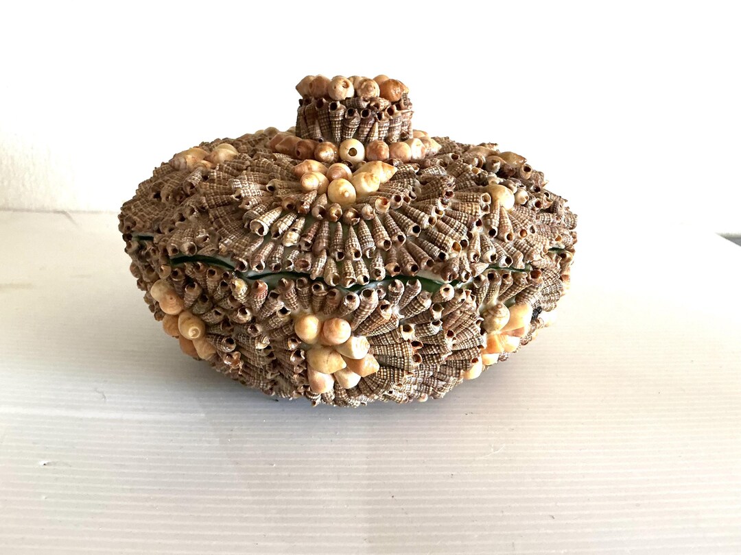 Candy Box Covered With Shells - Etsy