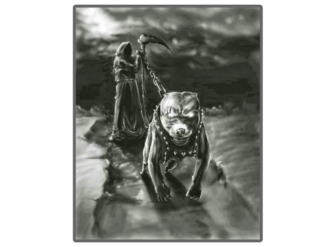 Evil Pitbull Drawing