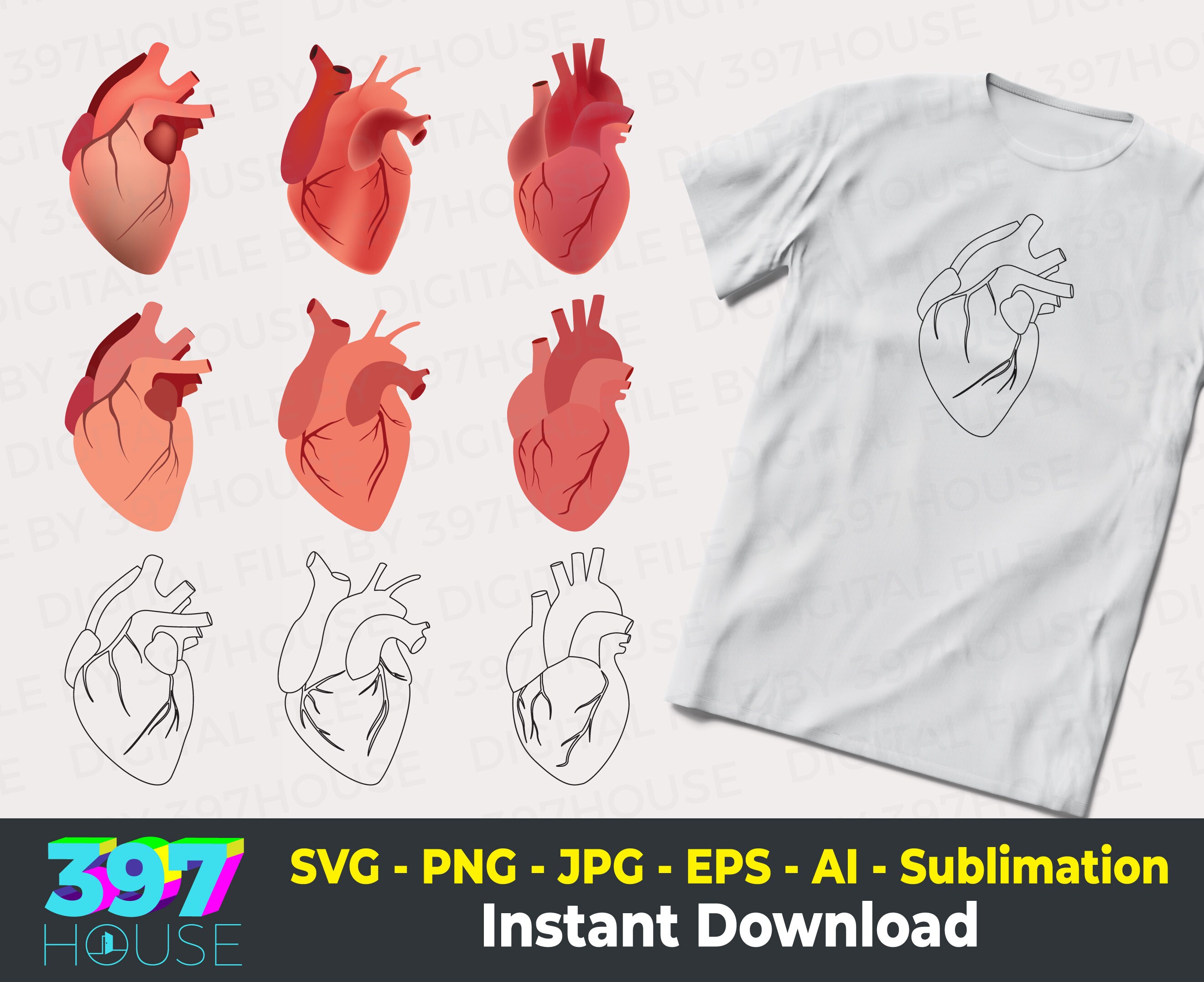 Set of Anatomical Heart Svg, Human Heart Svg, Medical Doctor Anatomy ...