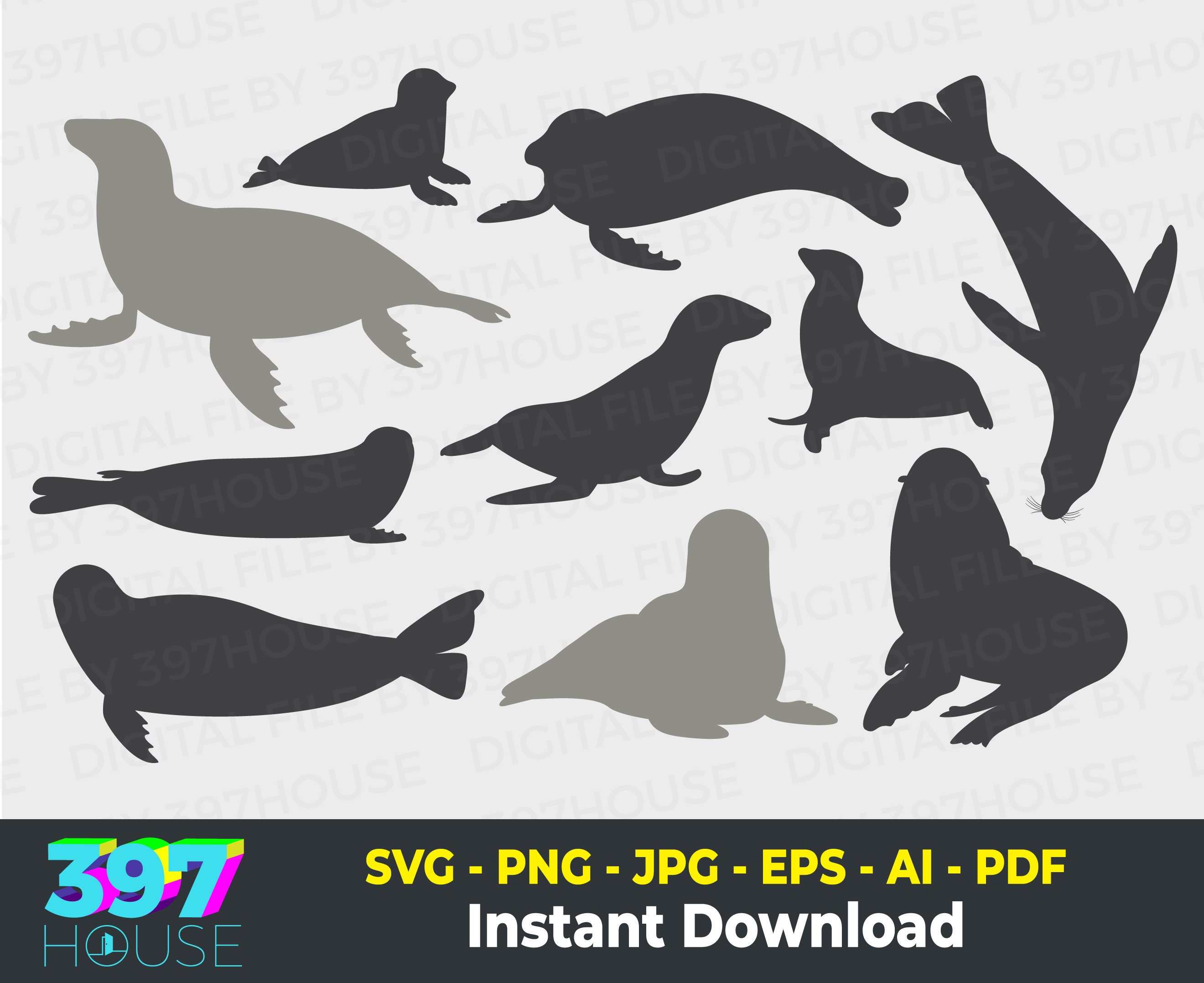 Set of Different Acting Seal Animal Svg Seal Svg Sea Lion - Etsy