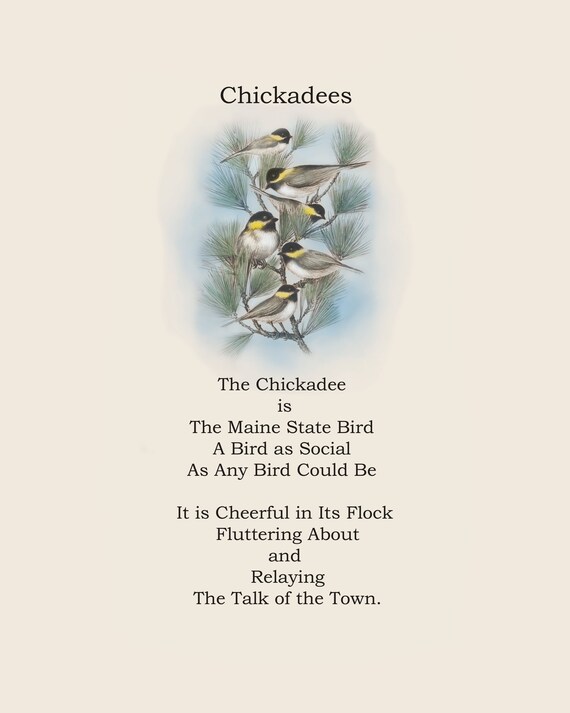 CHICKADEES Poster | Etsy