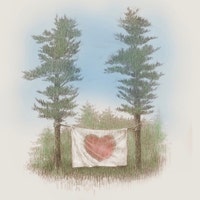 THE ACORN Poster - Etsy