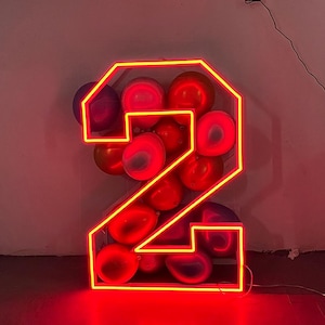 Birthday Party Sign,rgb Frame Neon Number,0-9 Stand Light for Birthday ...