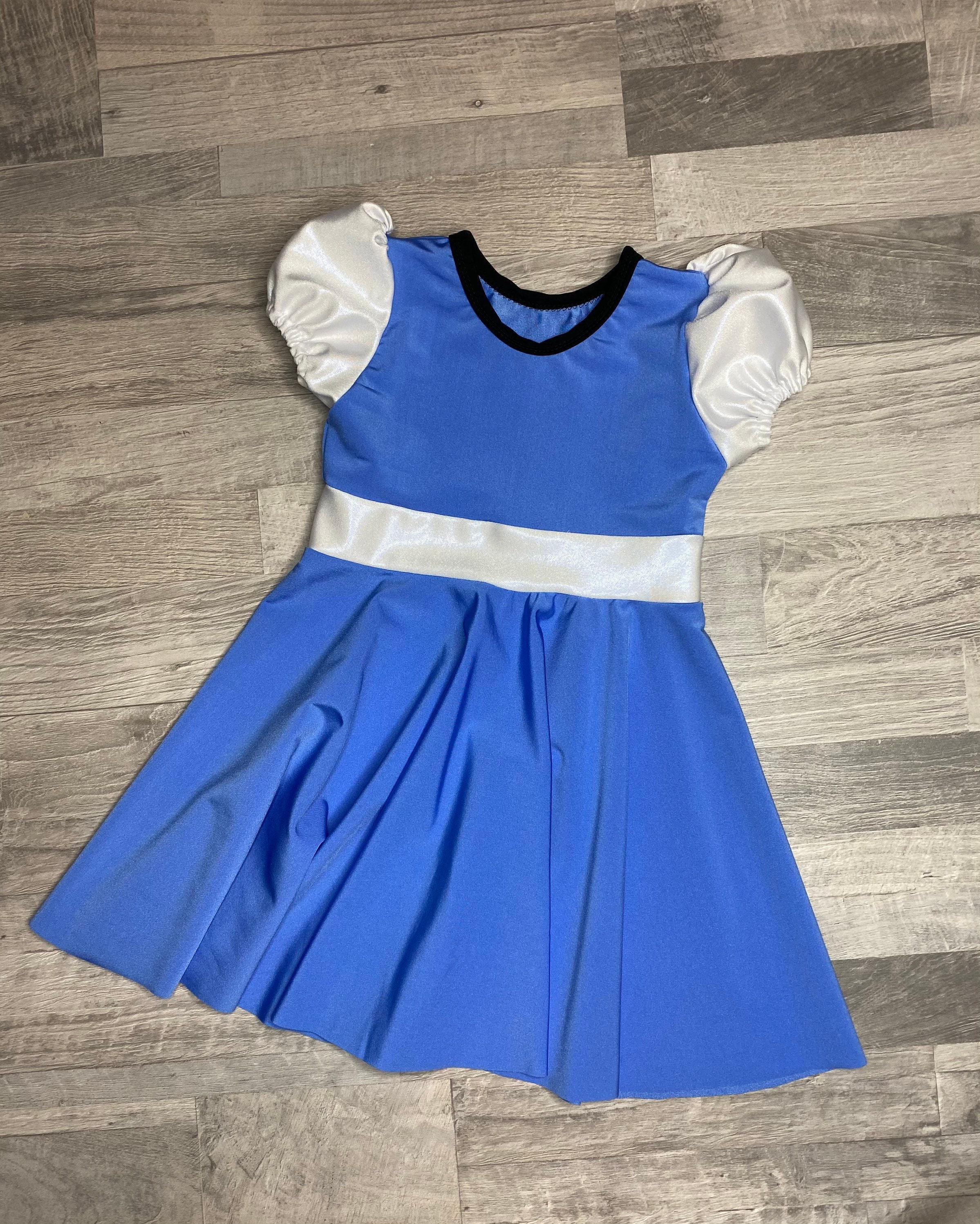 The Princess Who Lost a Shoe Disney Inspired Cinderella Twirl Dress ...