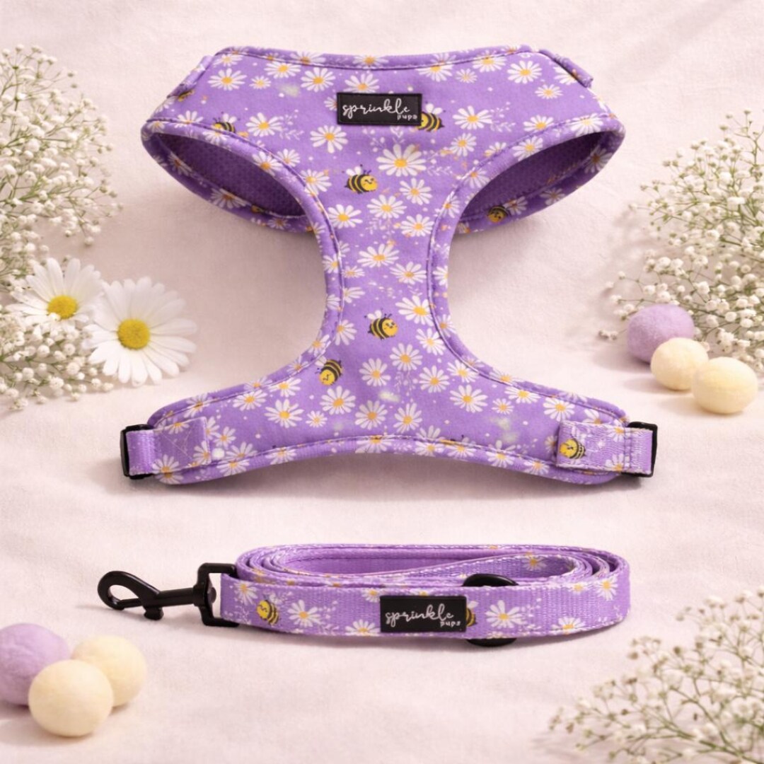 Bee & Daisy Dog Harness and Leash Set – Adjustable, Stylish for Small ...