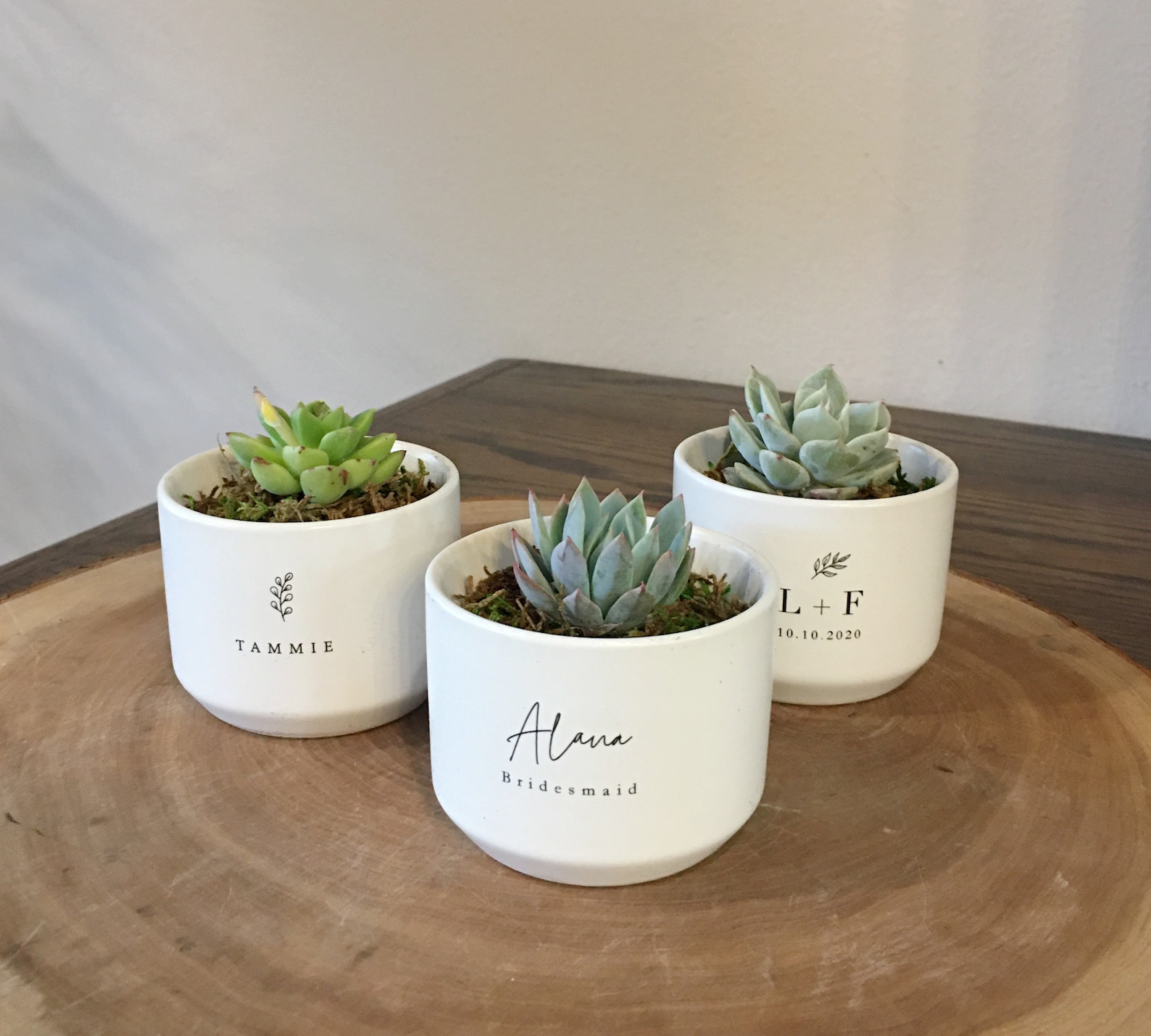 Personalized Condolences Gift Succulent & Card Included Loss - Etsy