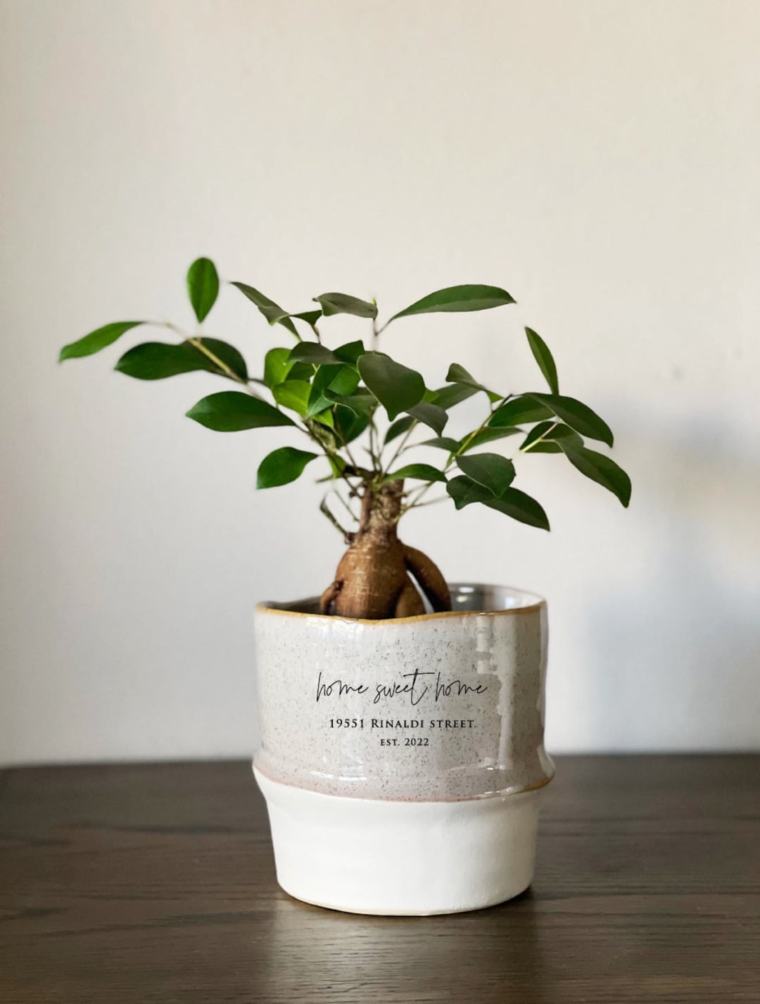 Personalized New Homeowner Gift | POT ONLY | Christmas, New Home Gift ...