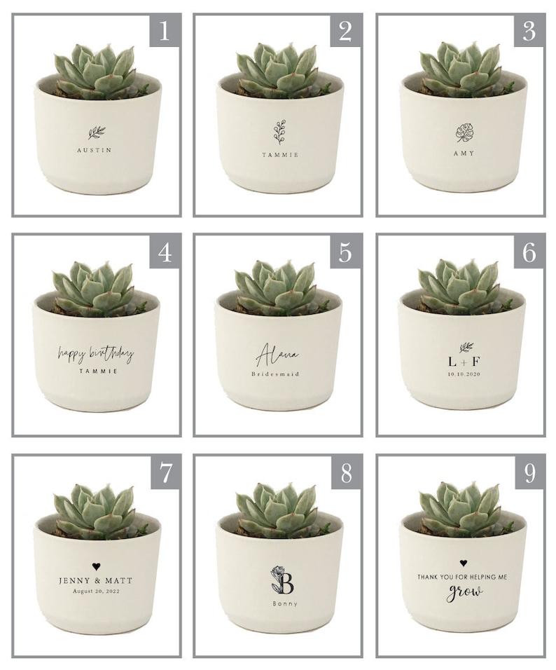 Personalized Mini Succulent Gift LIVE SUCCULENT INCLUDED - Etsy