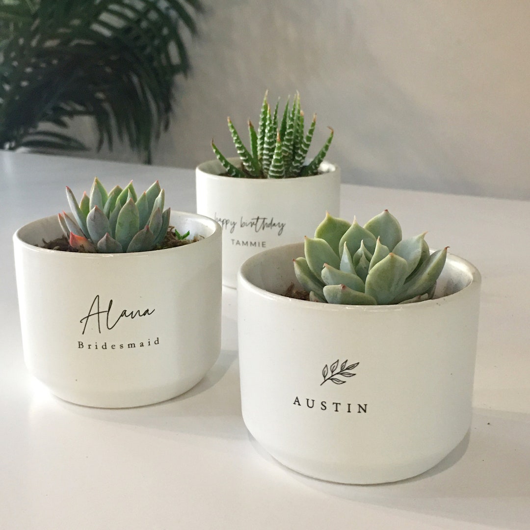 Personalized Mini Succulent Gift | LIVE SUCCULENT INCLUDED | Birthday ...