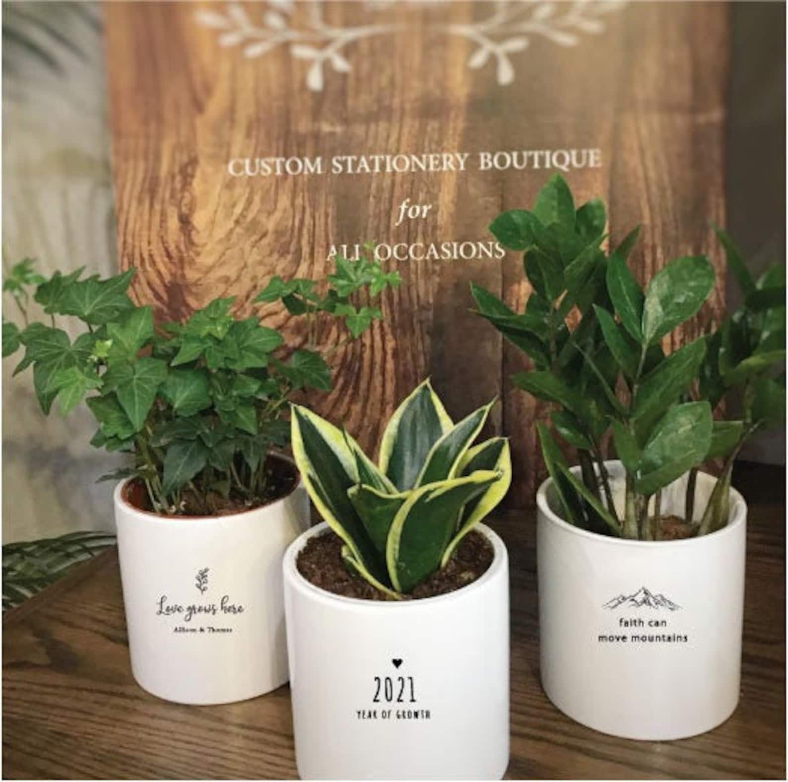 Personalized Condolences Gift Plant Not Included Funeral - Etsy