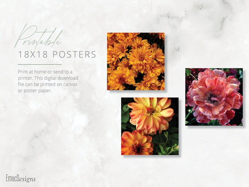 Digital Download Art Print, Flower Art, Nature Art, Home Decor, Instant ...