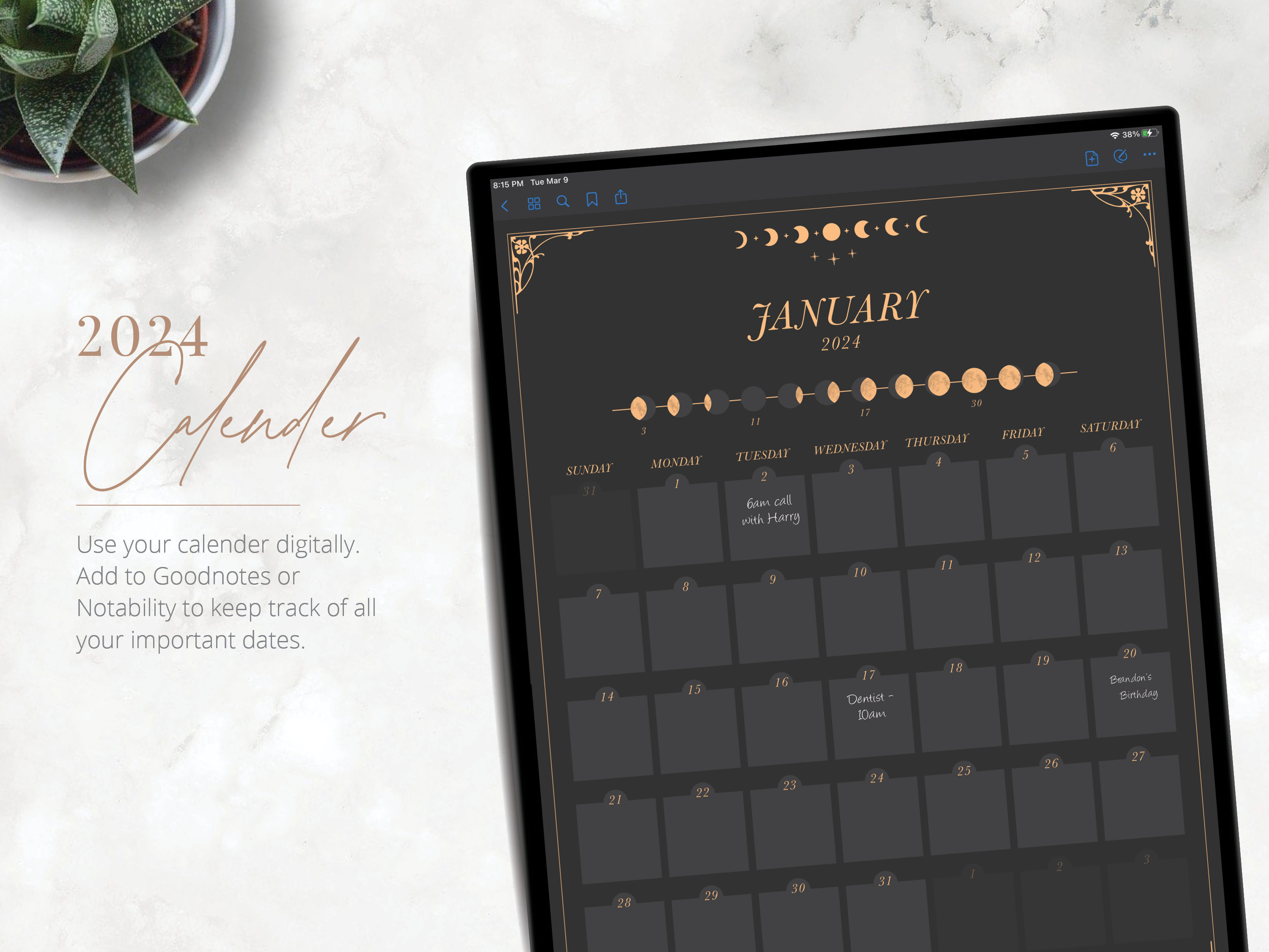 2024 Lunar Calendar, Digital Download - Full 2024 Calendar - Etsy