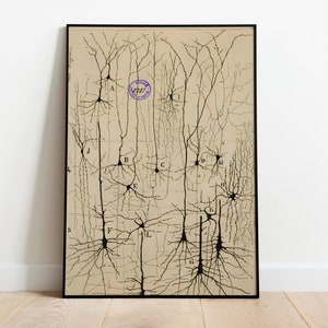 how to draw neurons in photoshop