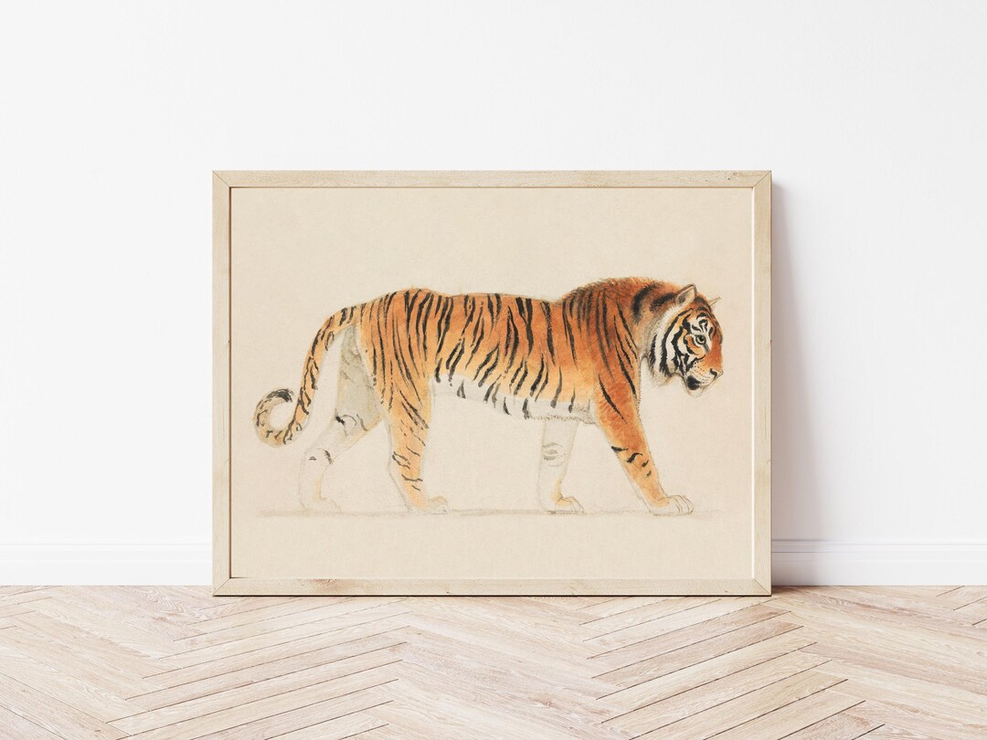 Tiger in Profile Print by Thomas Stothard, Vintage Animal Illustration ...