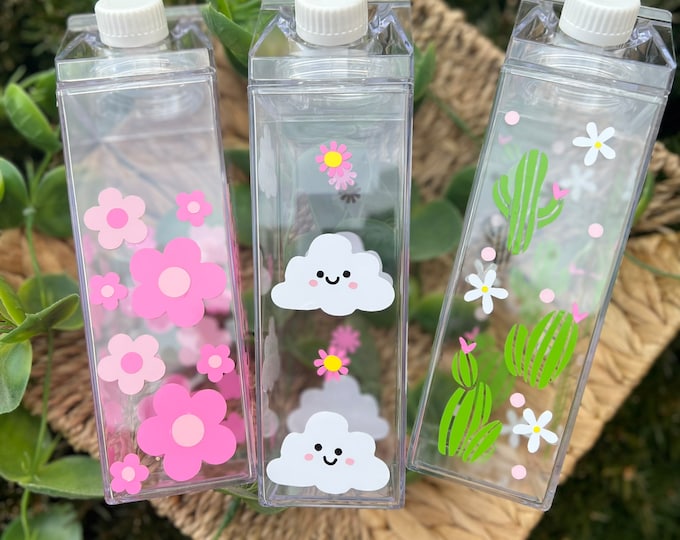 Spring Milk Carton Water Bottle| Cactus Water Bottle | Cloud | Retro ...