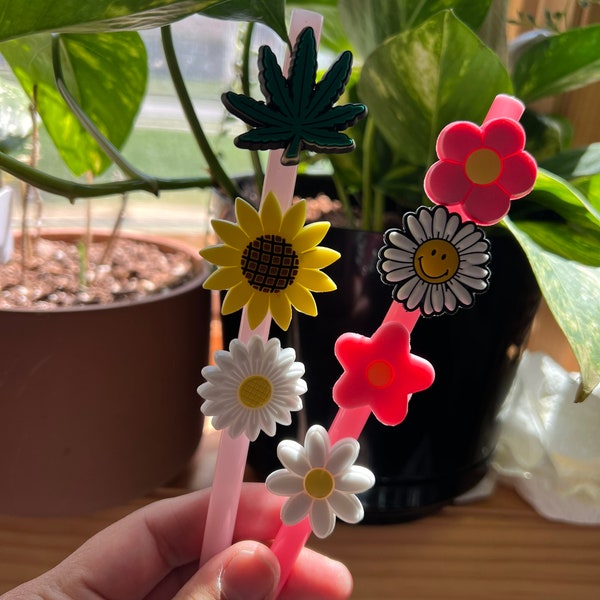 Straw Flowers - Etsy