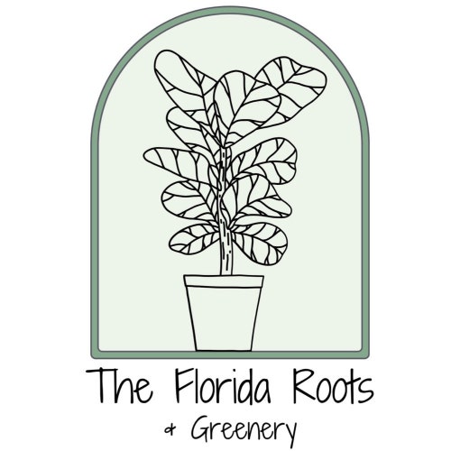TheFloridaRoots - Etsy