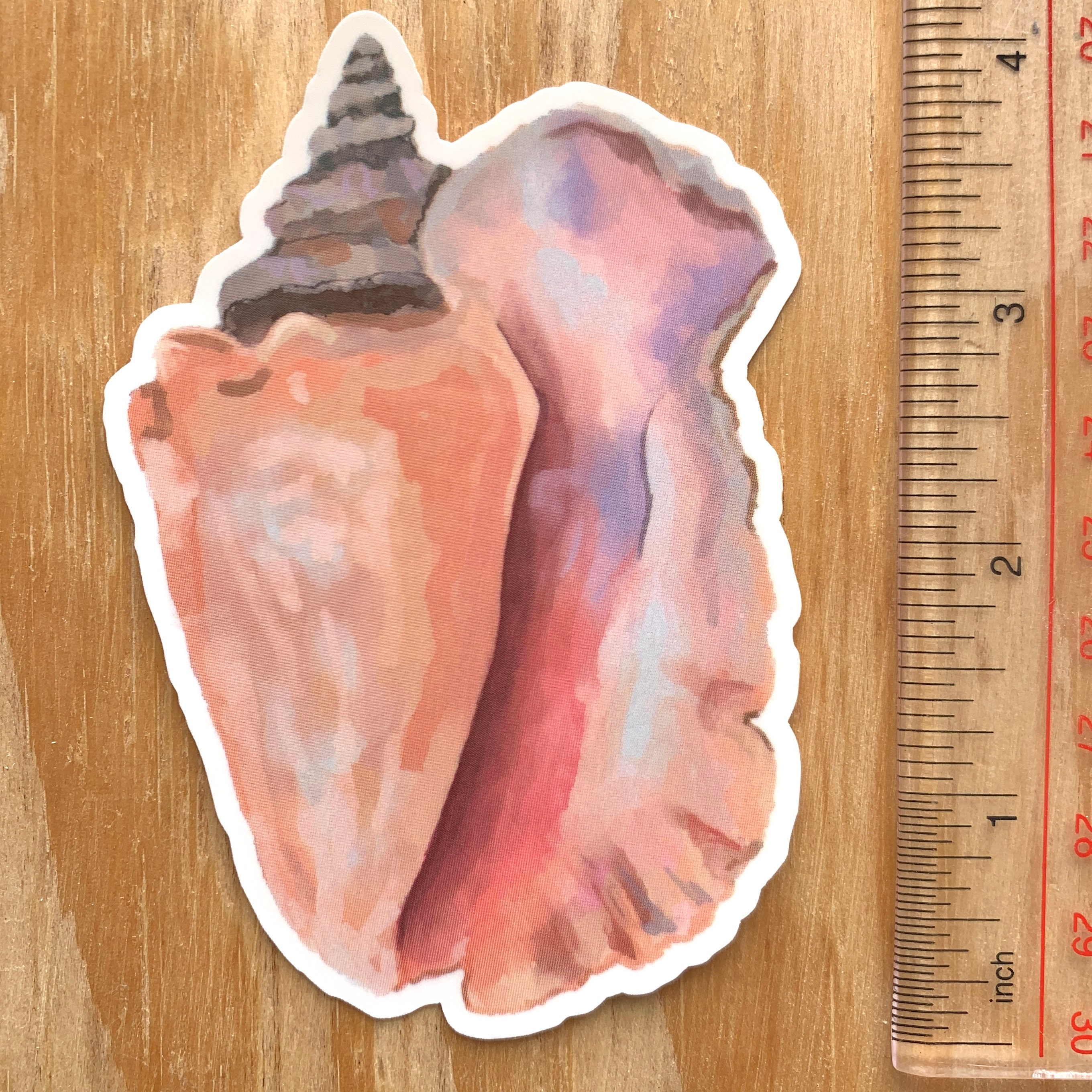 Conch Shell/ Shell Horn/ Kulu/Glossy Vinyl Sticker/ Sticker | Etsy