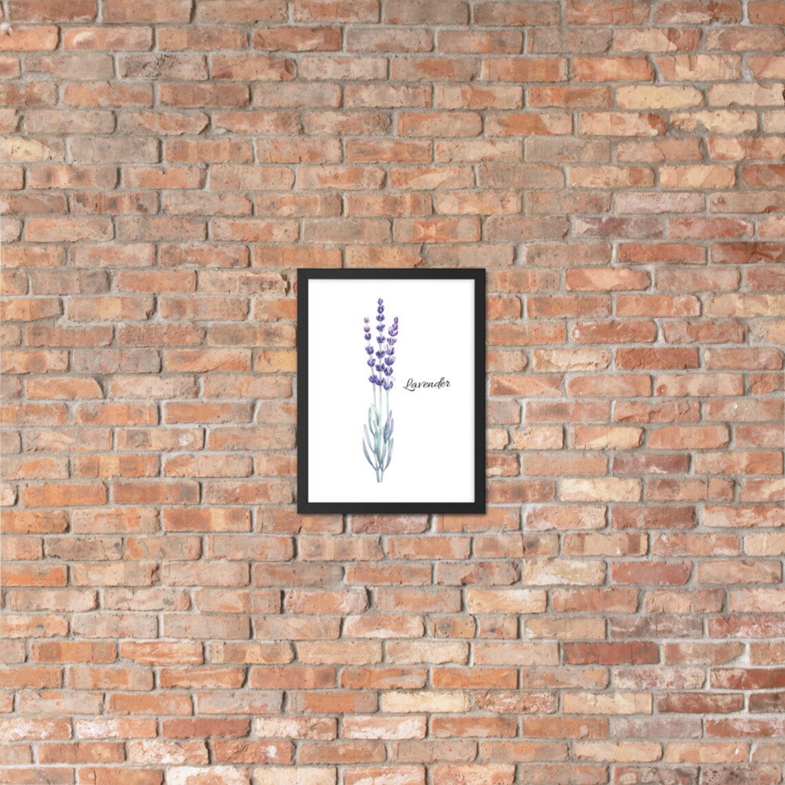 Lavender Framed Poster 12x16. Living Room Wall Decor. Herb Art Print ...