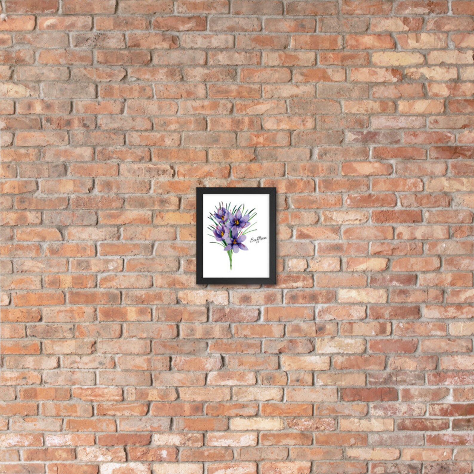 Saffron Framed Poster. Herb Art Print. Living Room Wall Decor. 8x10 - Etsy