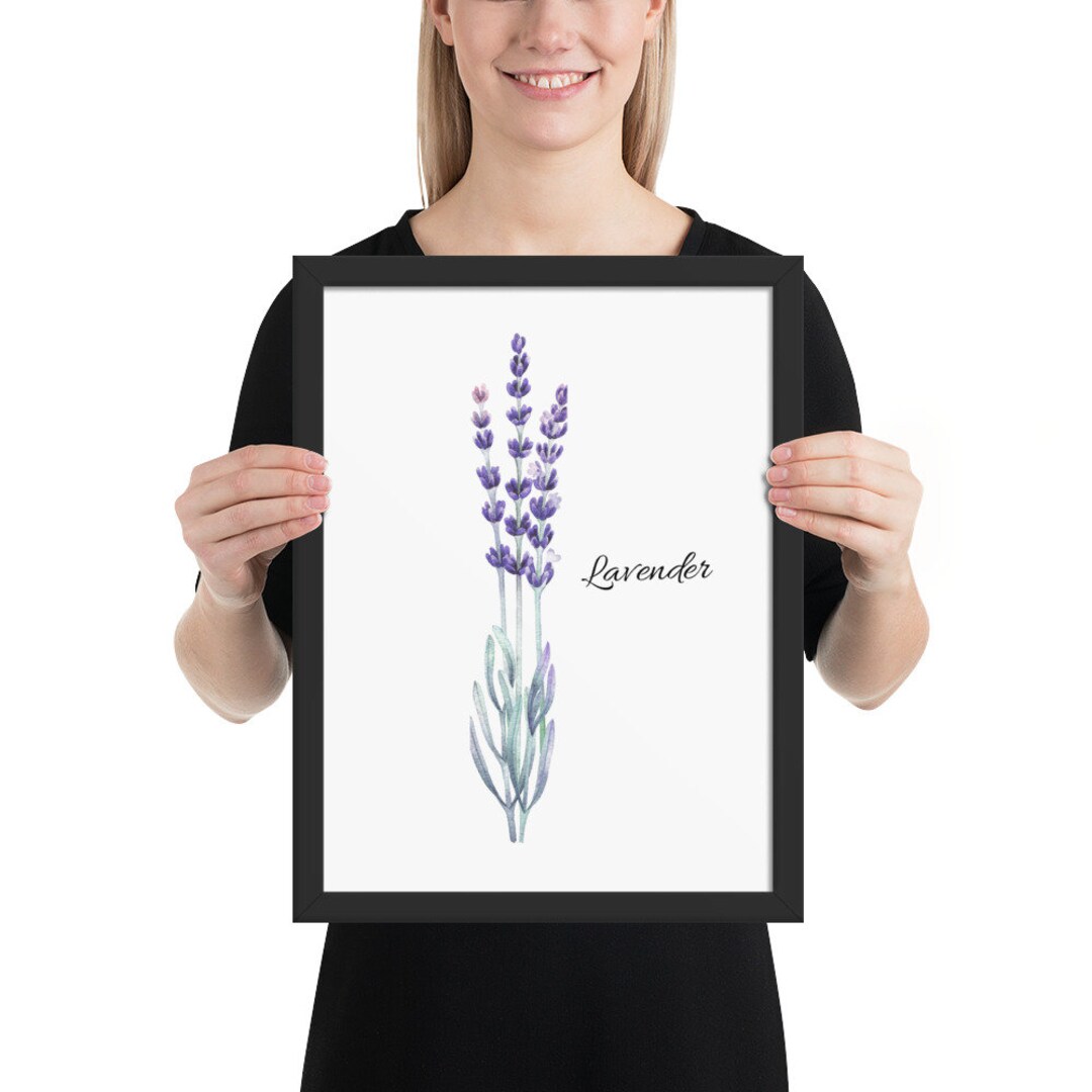 Lavender Framed Poster 12x16. Living Room Wall Decor. Herb Art Print ...