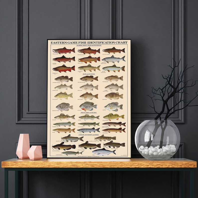 Eastern Gamefish Identification Chart Poster, Educational Fish Canvas ...