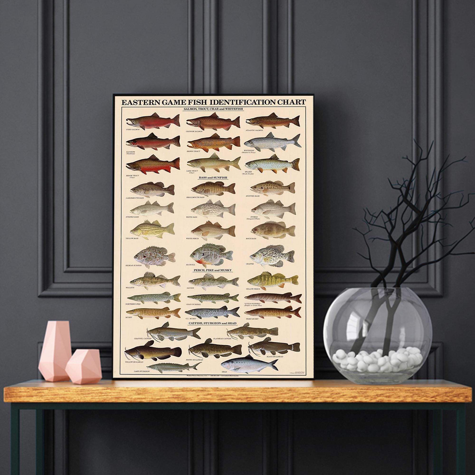 Eastern Gamefish Identification Chart Poster, Educational Fish Canvas ...