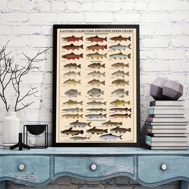 Eastern Gamefish Identification Chart Poster, Educational Fish Canvas ...