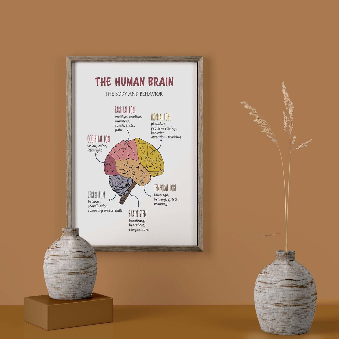 The Human Brain Poster Canvas, Mental Health Wall Art, Classroom School ...