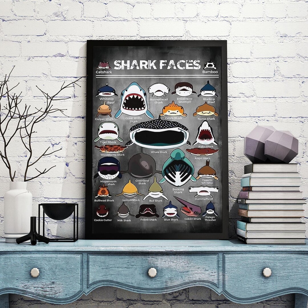 Shark Faces Poster, Types of Shark Canvas, Shark Knowledge Education ...