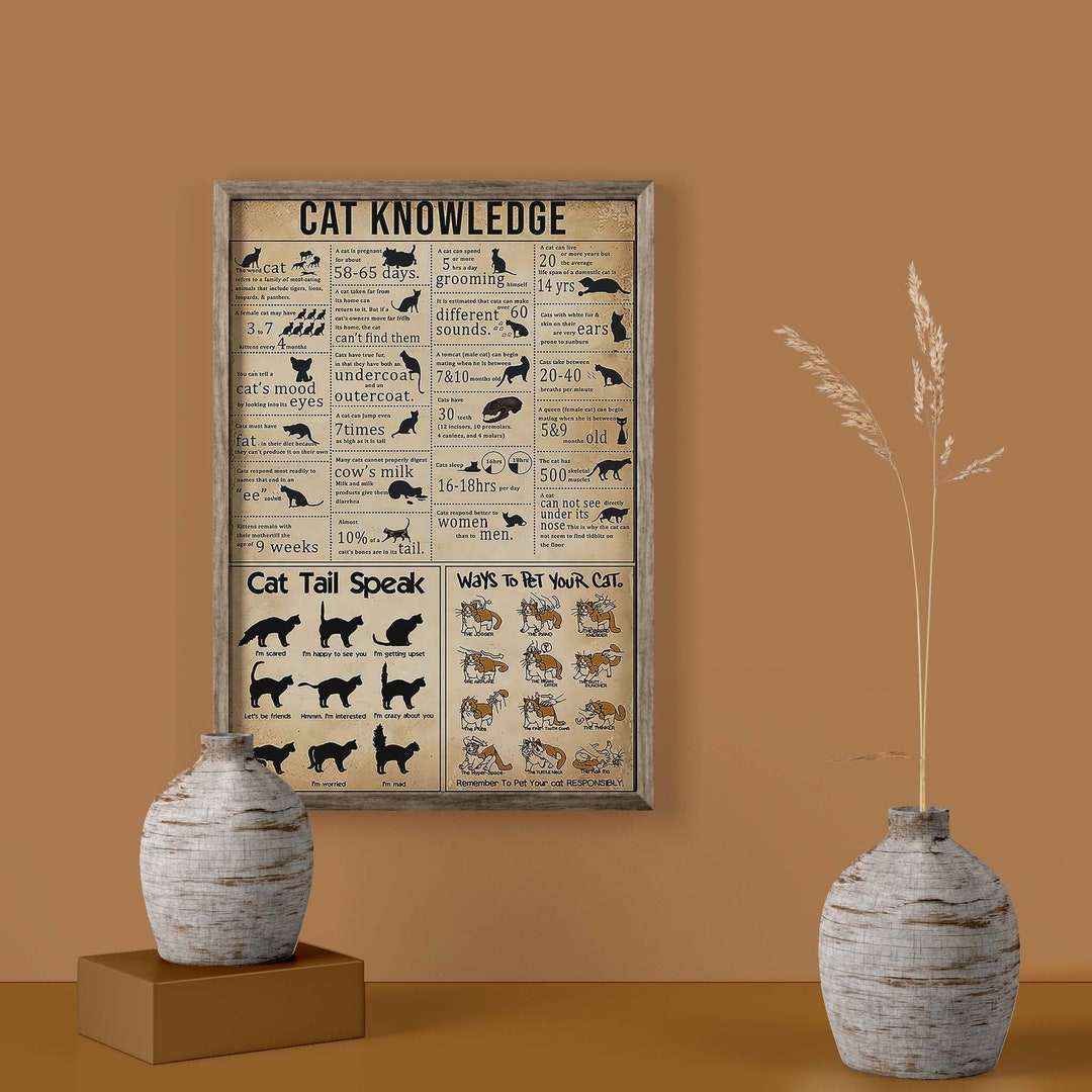 Cat Knowledge Poster, Cat Tail Speak Canvas, Ways to Pet Your Cat Wall ...