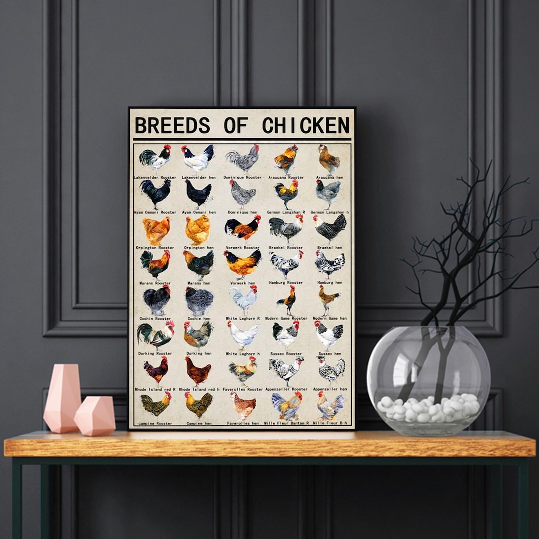 Breeds of Chicken Poster, Chickens Knowledge Wall Art, Funny Garden ...