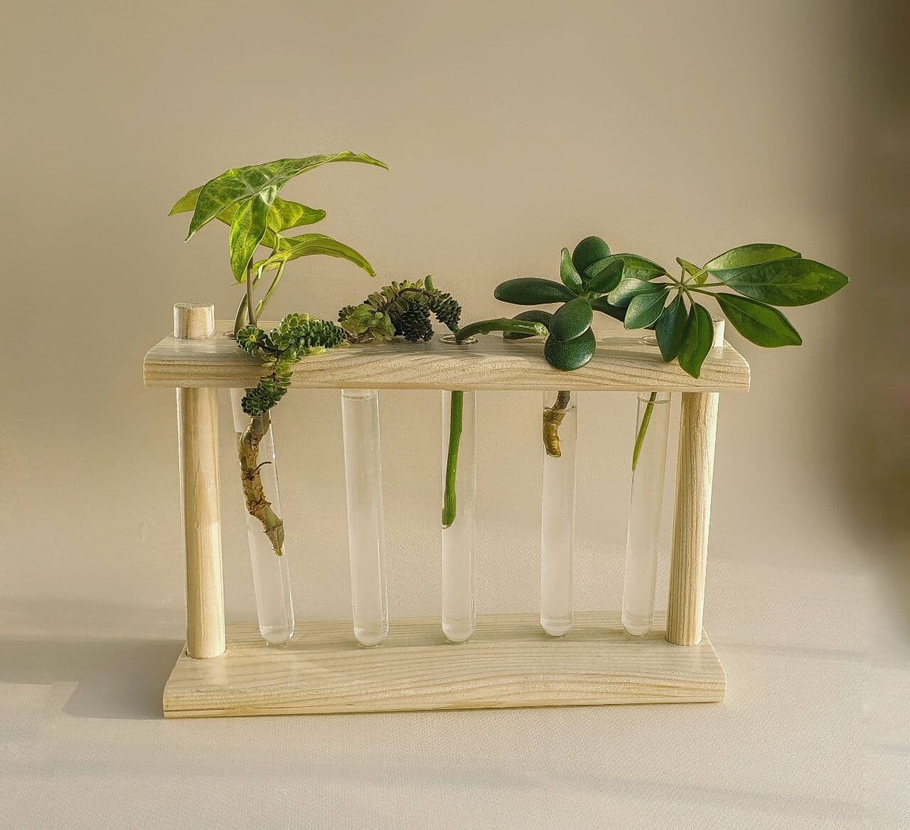 Plant stand wood propagation station with glass test tubes for | Etsy