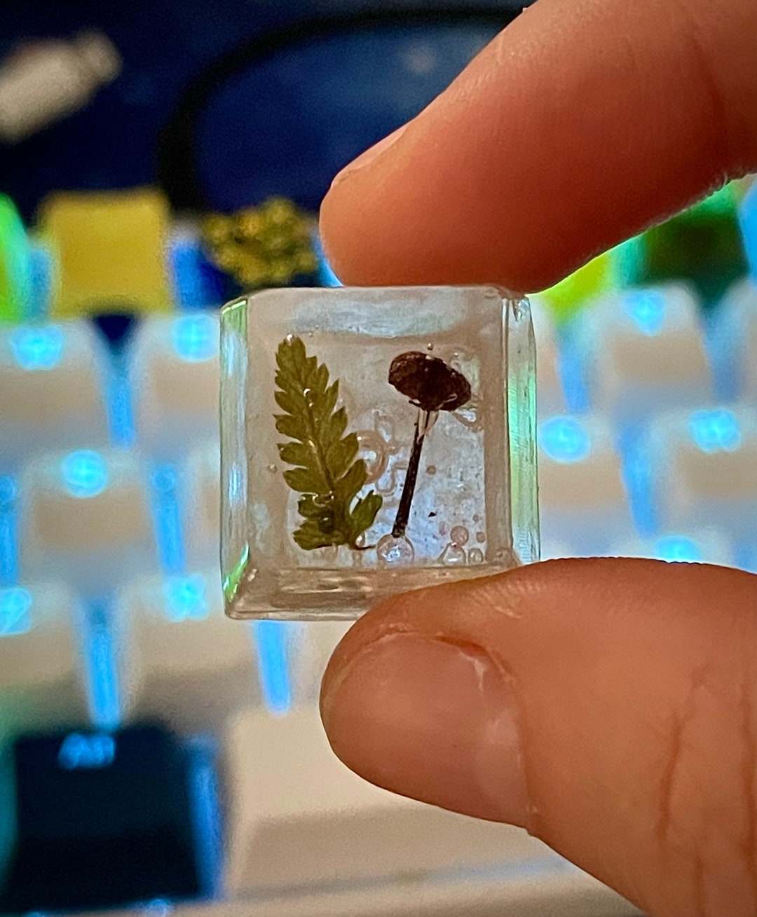 Botanical Artisan Keycap, Mushroom Keycap, Plant Artisan Keycap ...