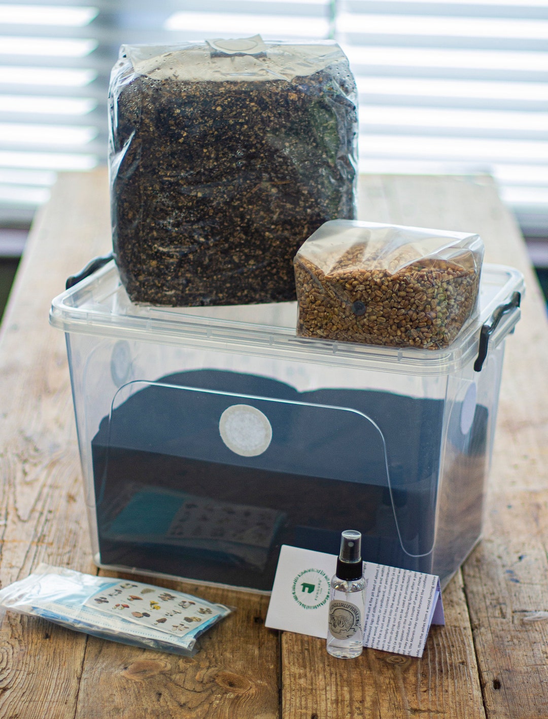 Noma Heavy-duty Reel With 25ft Cord And Power Bar Kit Monotub Mushroom ...