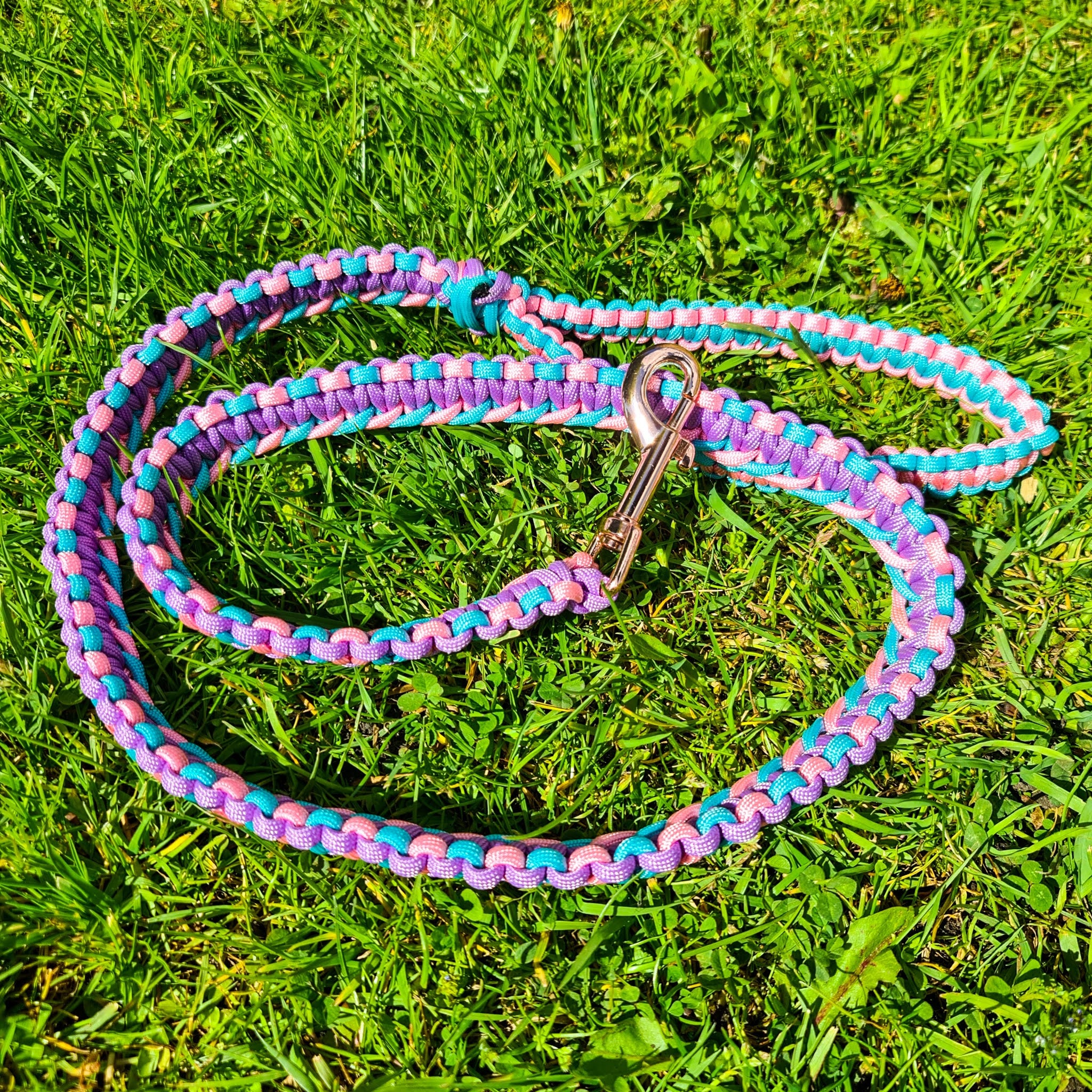Paracord Dog Lead Custom Made Dog Lead Multicoloured Dog - Etsy UK