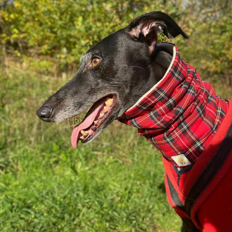 Waterproof dog snood - caqwesample