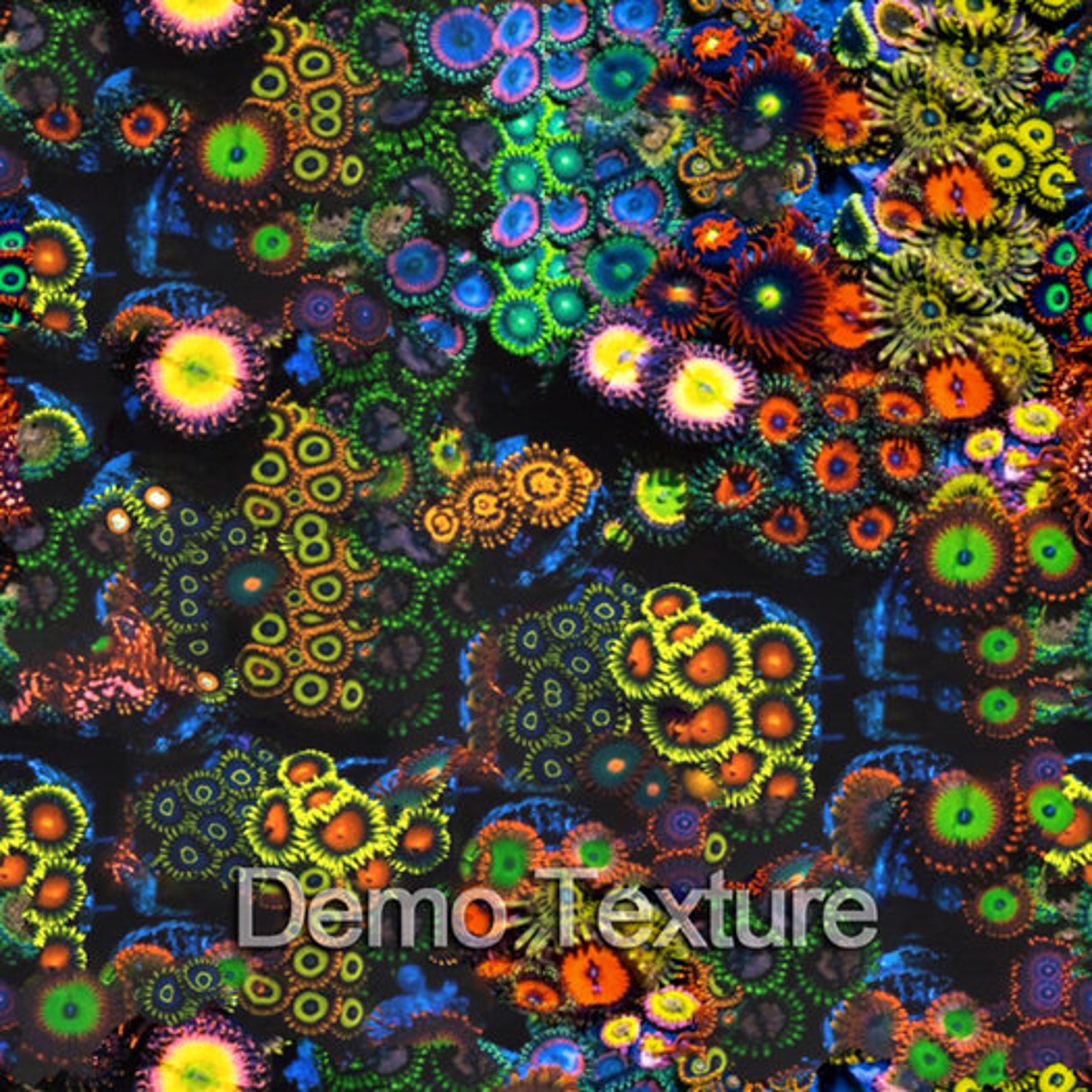 Underwater Texture, Coral Reef Background, Coral Reef Underground ...