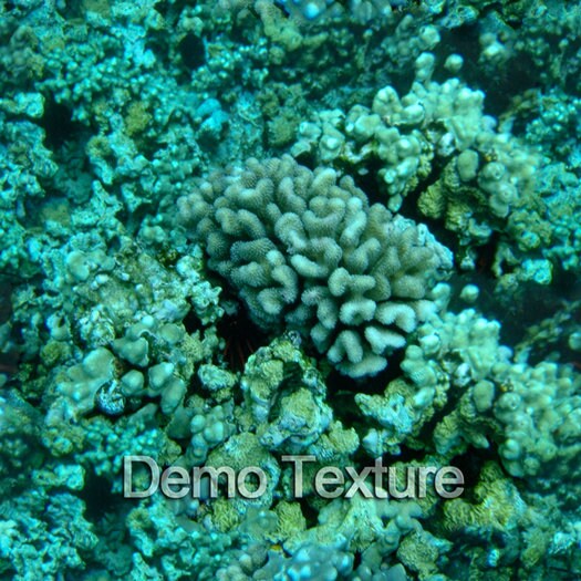 Underwater Texture, Coral Reef Background, Coral Reef Underground ...