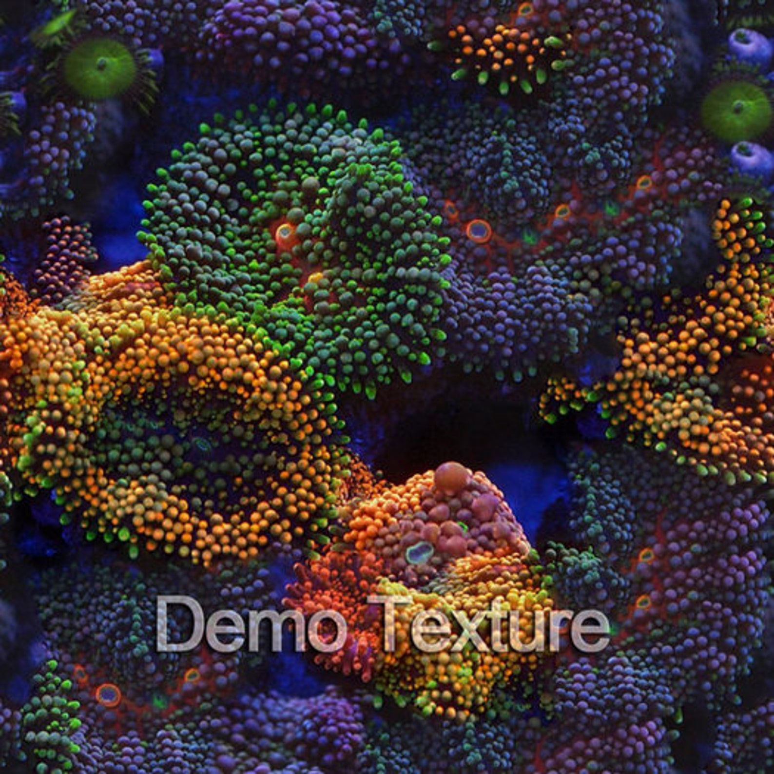 Underwater Texture, Coral Reef Background, Coral Reef Underground ...
