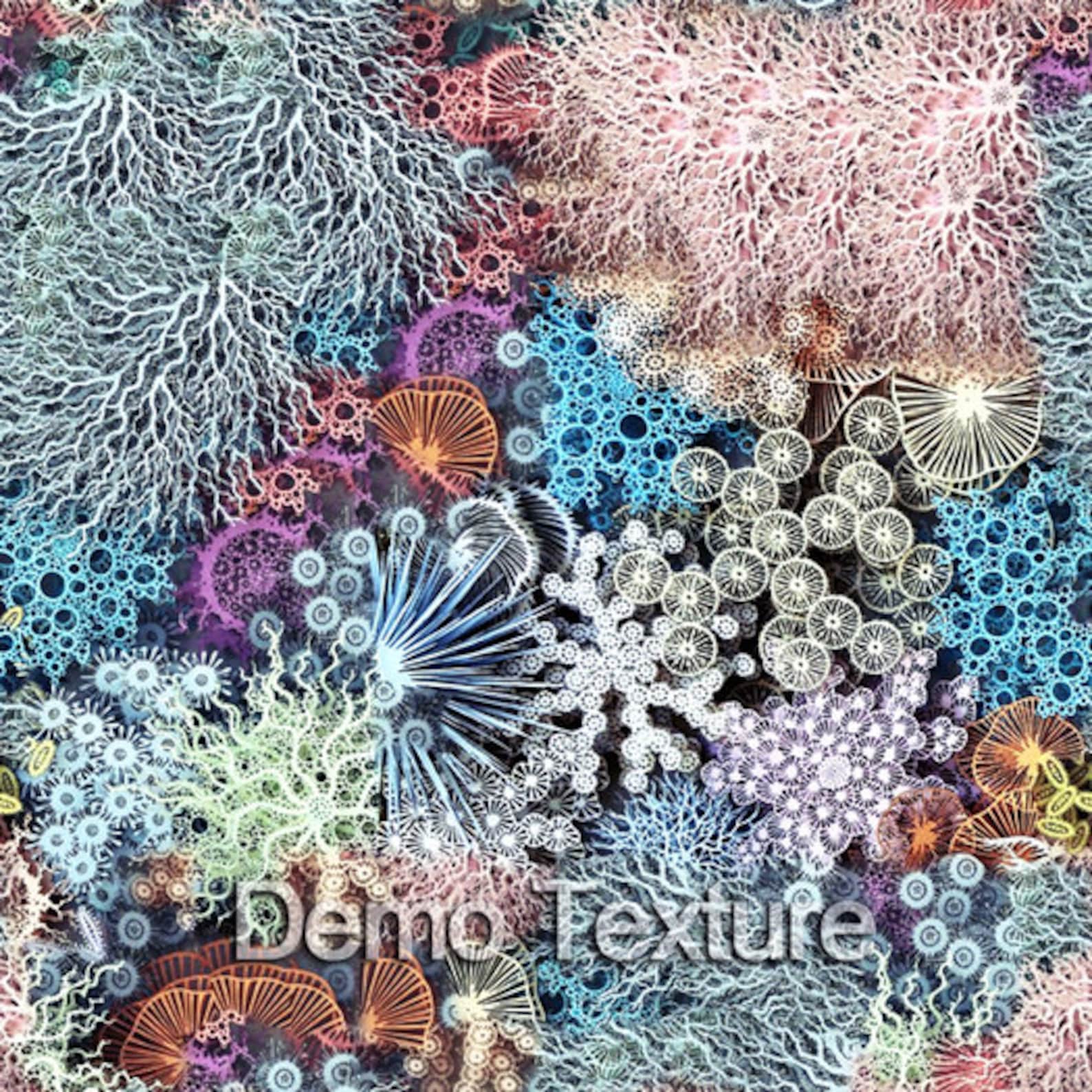 Underwater Texture, Coral Reef Background, Coral Reef Underground ...