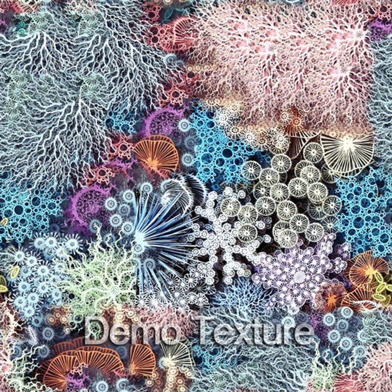 Underwater Texture, Coral Reef Background, Coral Reef Underground ...