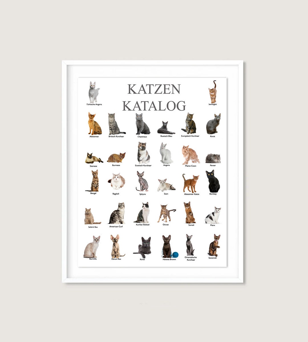 Cat Breeds Print 32 of the Most Famous Cats / Poster / Gift for Pet ...