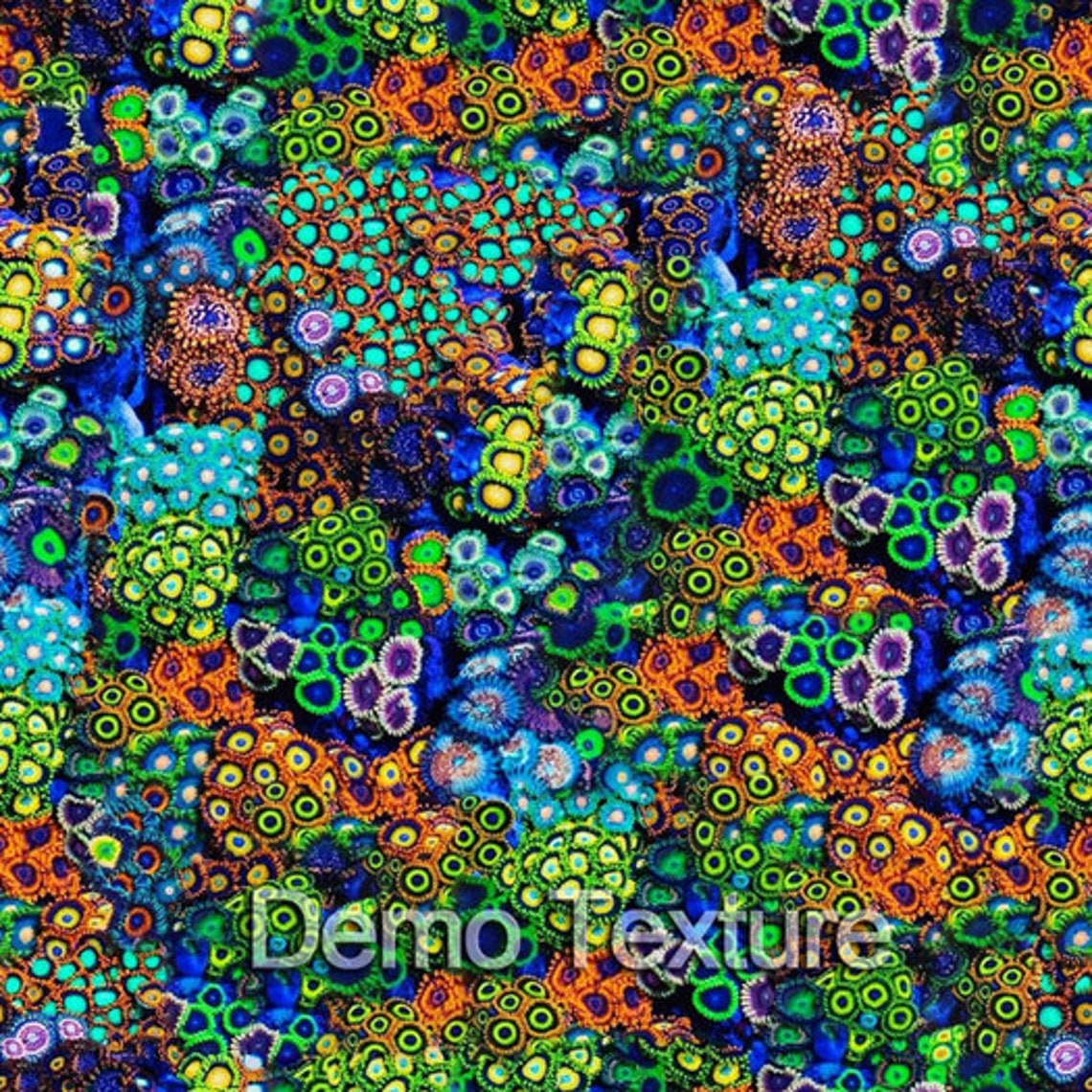 Underwater Texture, Coral Reef Background, Coral Reef Underground ...